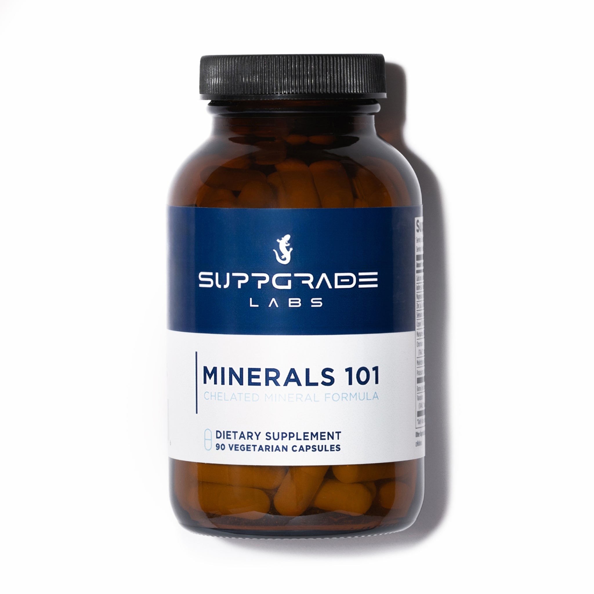Minerals 101 – Suppgrade Labs™