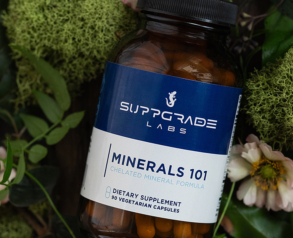 Minerals 101 – Suppgrade Labs™